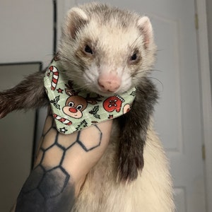 Sea Breeze Ferret Bandana Ferret Scarf Ferret Accessories Clothes for ...