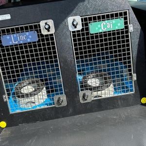 Caution I May Bite Indoor Warning Sign - Etsy