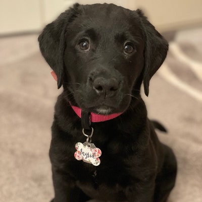 Pink Floral Pet Tag, Personalized Pet ID Tag, Cat ID Tag, Dog Name Tag ...