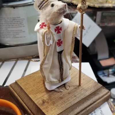 Taxidermy Mouse Pope Francis - Etsy
