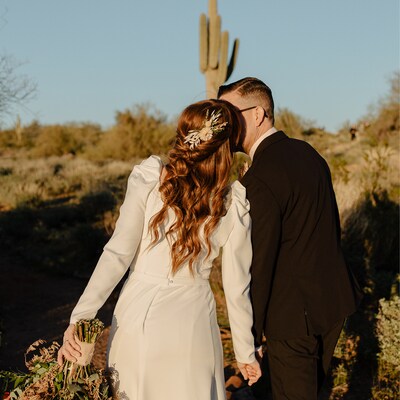 Winter Greenery Preserved Cedar Foliage / Cedar Greenery / Evergreen ...