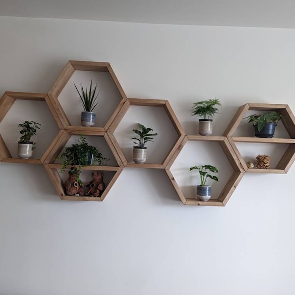 Set of 6 Hexagon Shelves Hexagon Shelf Geometric Shelf Plant Shelf ...