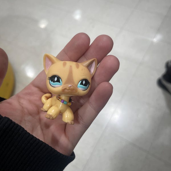 Shorthair 815 Custom LPS Paint Cat Littlest Pet Shop - Etsy