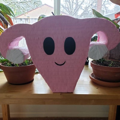 Uterus Pinata - Etsy