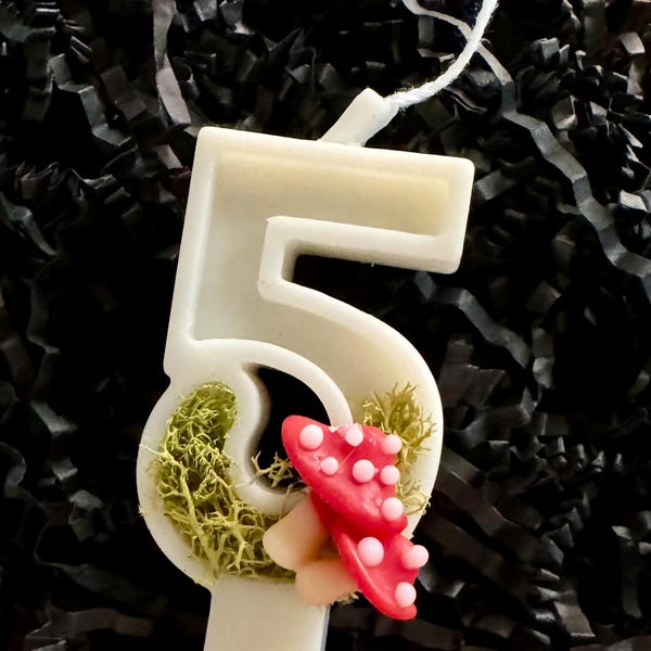 Pet Birthday Candle | Alphabet Birthday Candle | Soy Wax Birthday ...