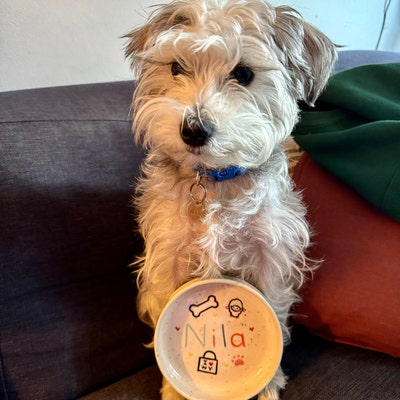 Custom Cute and Cheerful Pet Plate, 2 to 3 Designs, Handmade Pottery ...