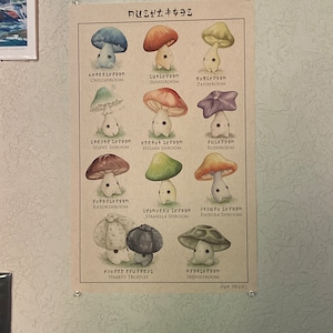 Legend of Mushlings Identification Print Fantasy Videogame Mushroom ...