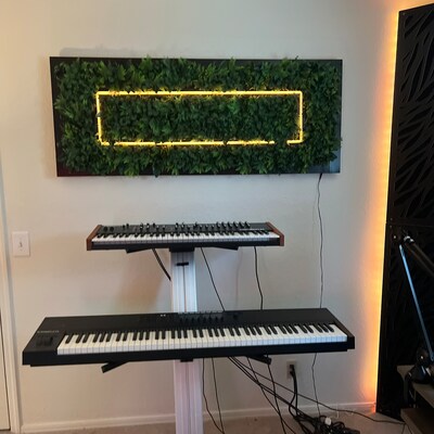 Elegant LED Green Plant Wall Framed Foliage With Color Changing LED ...