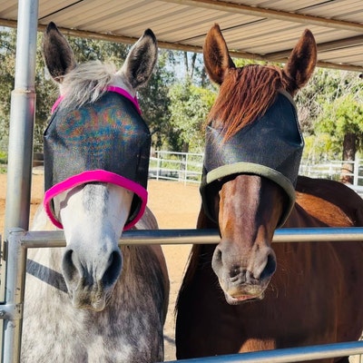 PDF No Ears Fly Mask Pattern - Etsy