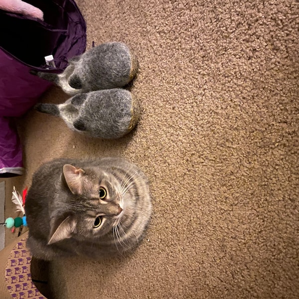 Grey Woman Cat Slippers Boiled Wool Slippers Animal Slippers Indoor ...