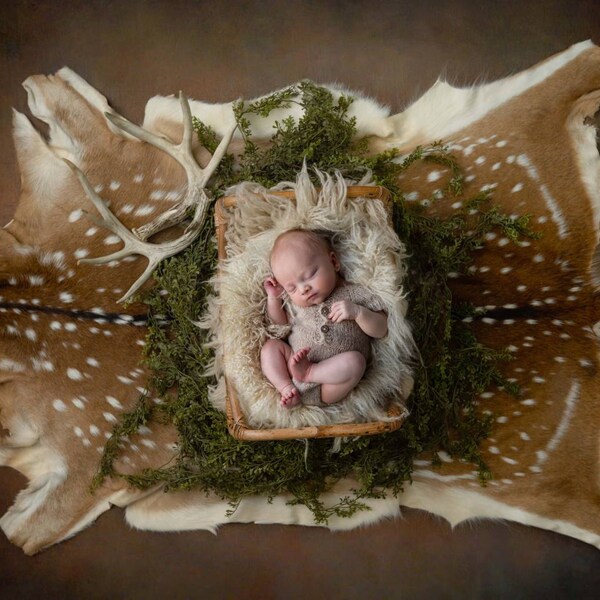 Graduation Digital Backdrop, Digital Graduation Backdrop, Graduation ...