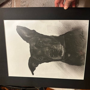 Custom Pet Portrait Charcoal Custom Dog Portrait Pet - Etsy