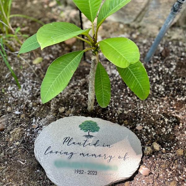 Personalized Planted in Loving Memory Flat Garden Stone, Memorial ...