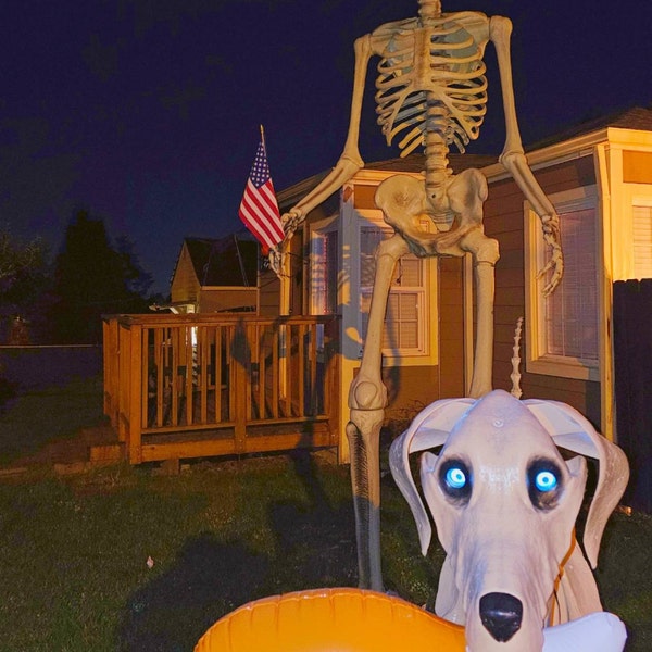 Giant Top Hat for 12 Foot Skeleton Pilgrim Thanksgiving Novelty Holiday ...