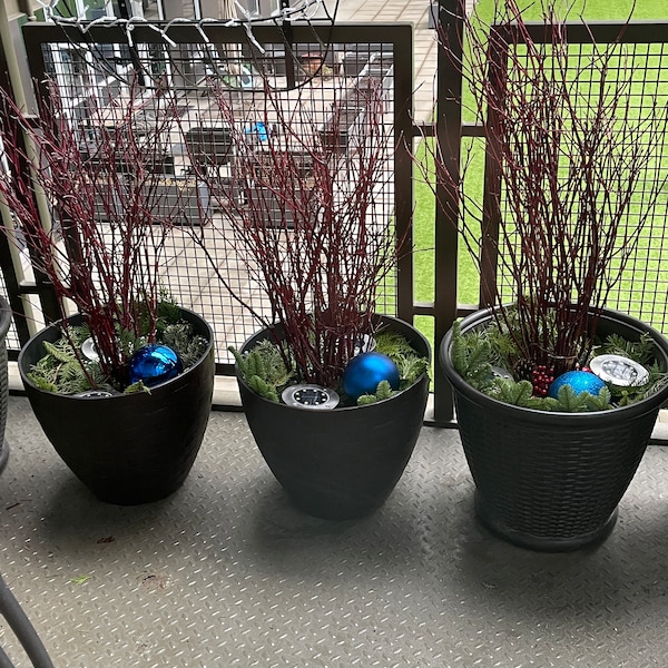 Assorted Fresh Greenery | DIY Wedding & Event Kit | Mix of Eucalyptus ...