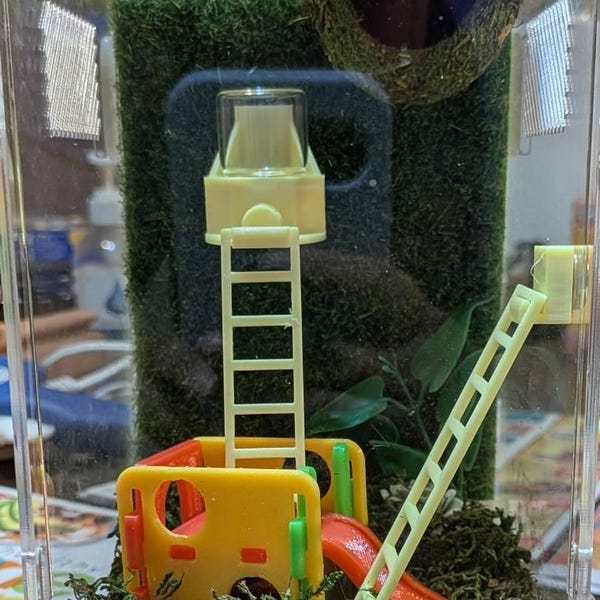 Custom Jumping Spider Enclosure From Kritter Kribs With Magnetic ...