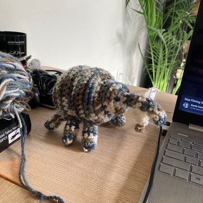 Wally the Weevil Crochet Pattern - Etsy