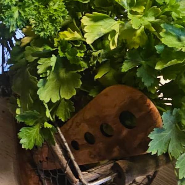 Farmhouse Herb Bucket Planter - Etsy