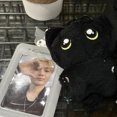 Enhypen En-dolls Animal Fanmade Plushie Jungwon Heeseung Jake Jay ...