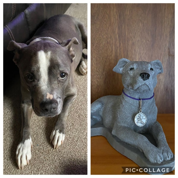 Pitbull Statue, Concrete Statues. Pit Bull Dog Statue, Garden Statues ...