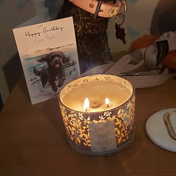 Cockapoo / Doodle (black) Dog "happy Birthday" Card (6" X 4") With ...