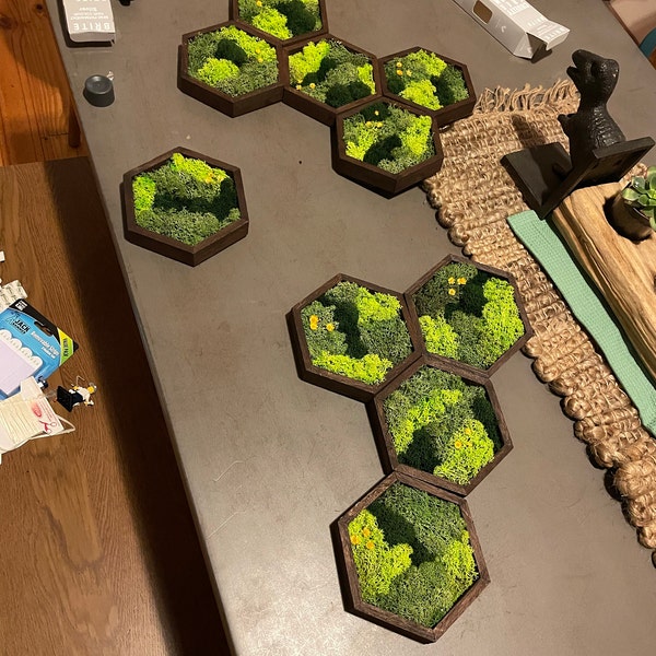 Moos Wandkunst Bienenwabe | Vier Größen, 5 x 6 Zoll, 8 x 9 Zoll, 10 x ...