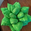 Succulent Pillow Sewing Pattern - Etsy