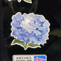 Good Catch Sticker Fishing Decal Waterproof Sticker Midwest Sticker ...