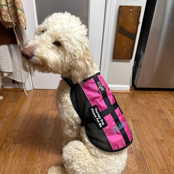 Personalized Dog Vest Mesh Harness With Custom Hook and Loop Patches ...