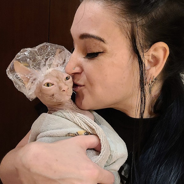 Kotomoda Shower Caps for Sphynx Cats and Small Pets 20pcs in a Tin Box ...