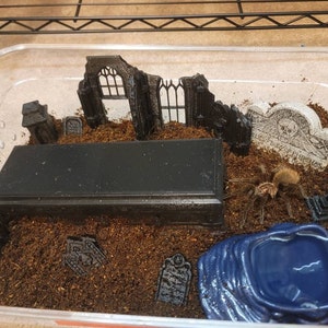 Jumping Spider Enclosure. Small Cauldron Acrylic Glass Enclosure for ...