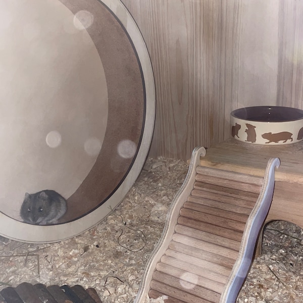 Hamster Stairs, Staircase, Ladder, Bridge, in Natural Wood (hamster ...