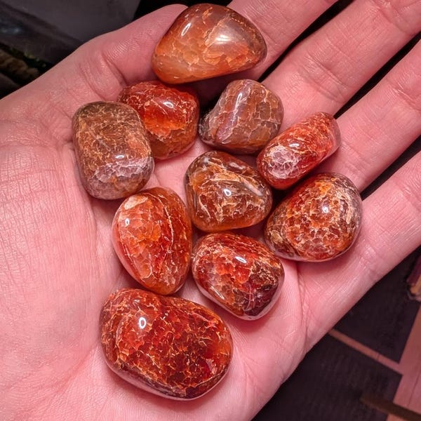 Tree Agate Rough Natural Stones: Choose Ounces or Lb Bulk Wholesale ...