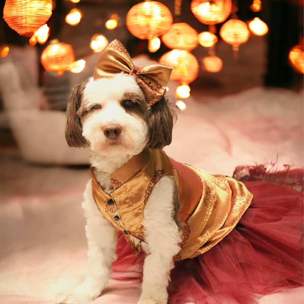 Cheongsam / Qipao Dress for Cats PDF Digital Sewing Pattern | Chinese ...
