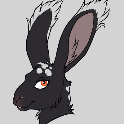 Reference Sheet Furry / Anthro / Fursona/ Custom Character Illustration ...