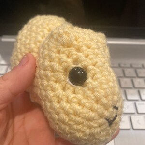 Capybara CROCHET PATTERN 3 in 1, Amigurumi Capybee, Crochet Bee ...