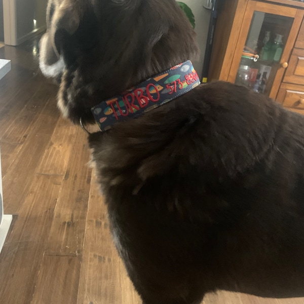Dog Collar, Embroidered Dog Collar, Personalized Dog Collar, Fish Dog ...