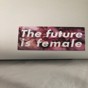Feminist Vinyl Sticker the Future is Female Girl Power Pink Illustrated ...