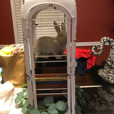 Lot of 10 Vintage Old Rare Antique Hardcover Books Mixed Color Random ...