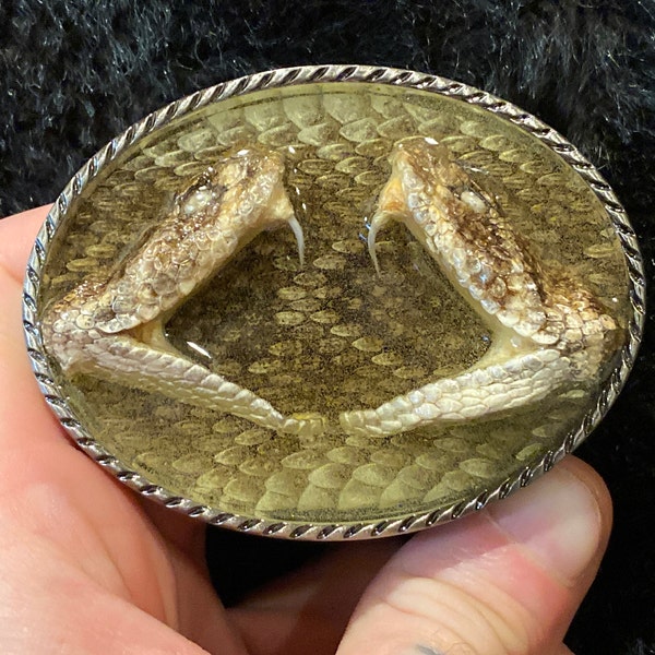 Real Rattlesnake Belt Buckle:dueling Heads in Oval (598-BB402) Y2L - Etsy