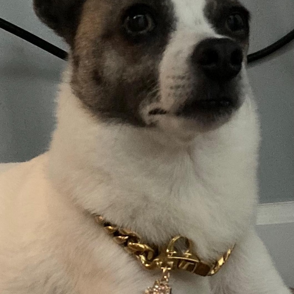 Custom Dog Chain Collar, Cuban Link Dog Chain,jewellry for Dog,dog ...