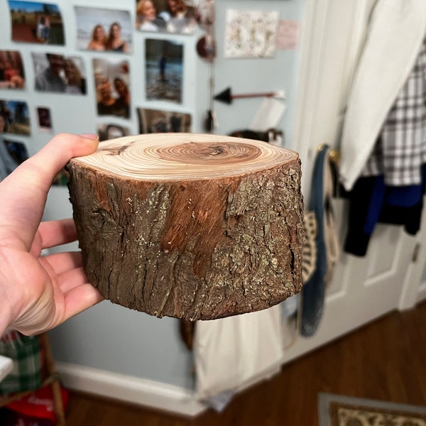 4 Redwood Coaster ~4 1/2”-5”in Diameter + 1/2” Thick Sanded Smooth ...