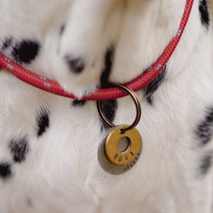 Gold Dog Tag Stamp Front & Back Brass Dog Tag Circle Dog - Etsy