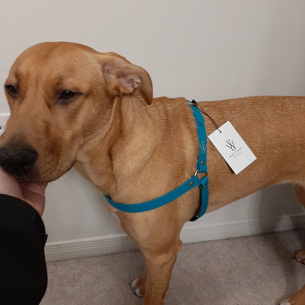 Dog Flight Jacket | Red - Etsy