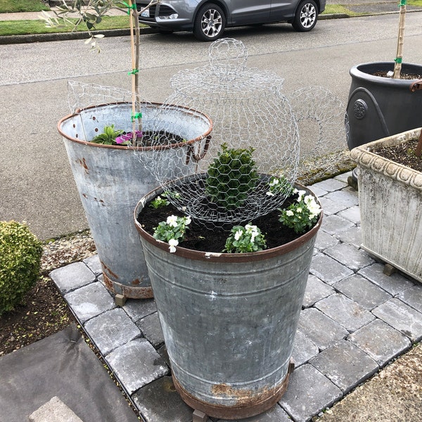 Boxer Topiary Frame - Etsy