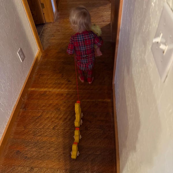 Wooden Push Duck Toy- Push Toy- Push Duck- Wooden Push Toy- Handmade ...