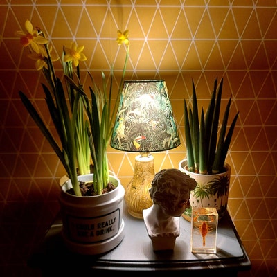 Bespoke Timorous Beasties Thistle and Velvet Lampshades 30 - Etsy UK