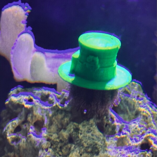 Sea Urchin Hats 4 Pack - Etsy