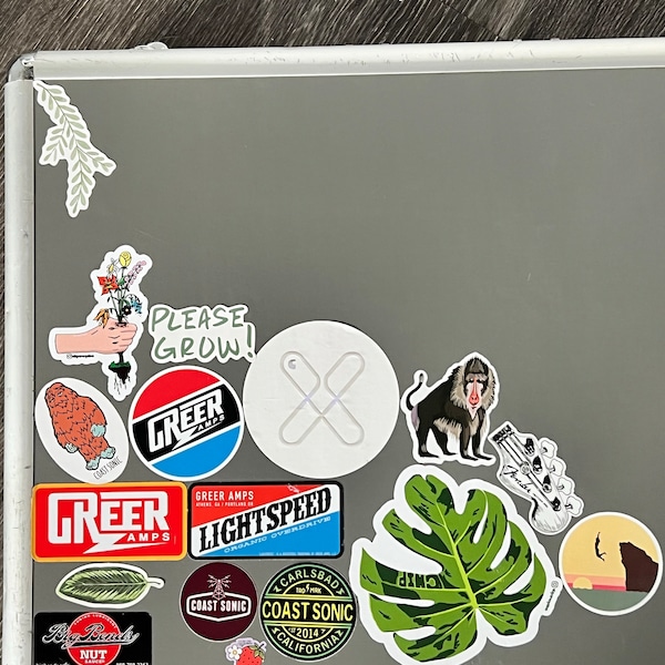 Mexican Donkey Burro Floral Vinyl Sticker Laptop, Bumper, Water Bottle ...