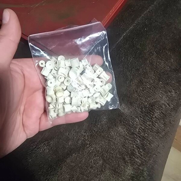 100 Real SEA SHELLS Arts Crafts Wedding Jewelry Seashell Scrapbook Art ...